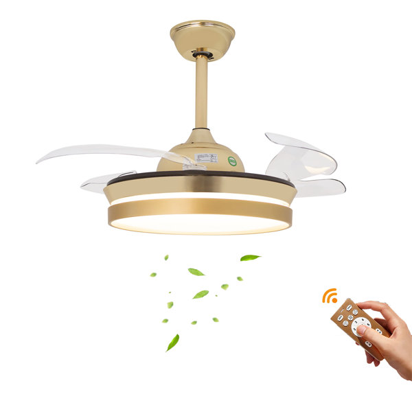 Mercer41 Lovash 36'' Ceiling Fan with LED Lights | Wayfair